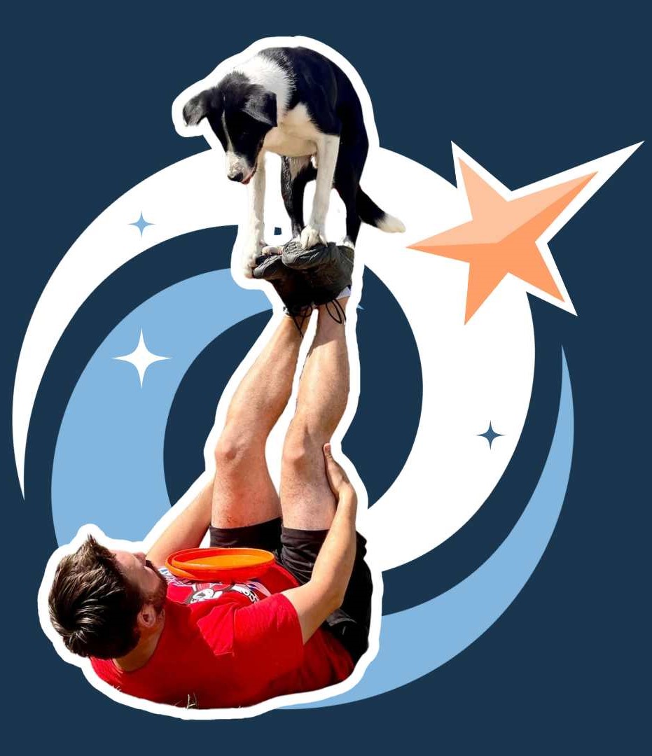 Board and Train | Maryland Dog Training - Aspire K9 Academy